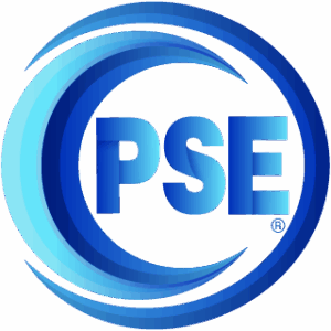 Offshore Structural Analysis and Design - PSE Software